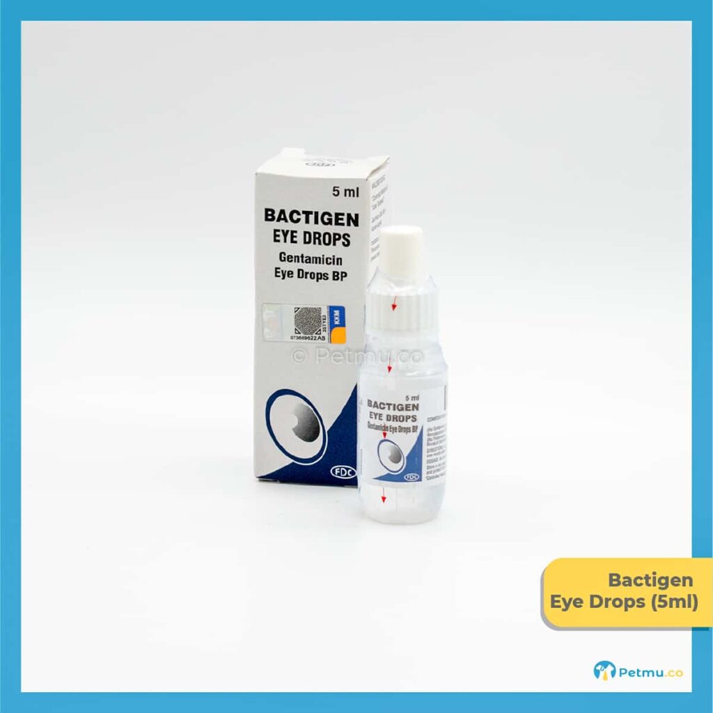 Bactigen Eye Drop For Pets (Dogs & Cats) - Gentamicon Eye Drops BP (5ml ...